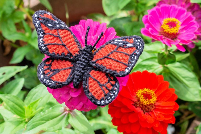25 Free Crochet Butterfly Patterns {PDF Pattern}