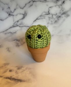 25 Free Crochet Cactus Patterns (Amigurumi Pattern)