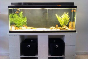 20 DIY Aquarium Stand Plans: Build Your Fish Tank Stand
