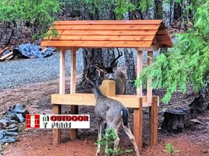 25 Homemade DIY Deer Feeder Ideas and Plans
