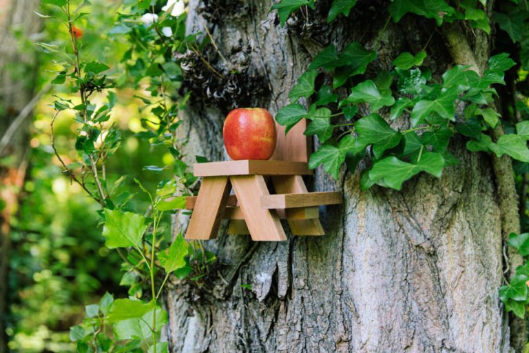 25 Free Homemade DIY Squirrel Feeder Plans