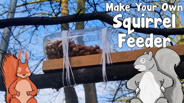25 Free Homemade DIY Squirrel Feeder Plans