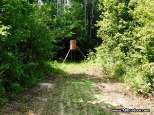25 Homemade DIY Deer Feeder Ideas and Plans