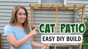 20 Free DIY Catio Plans: Build Your Outdoor Cat Enclosure