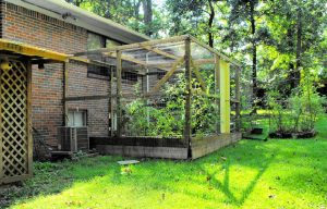 20 Free DIY Catio Plans: Build Your Outdoor Cat Enclosure