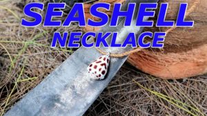 25 DIY Seashell Necklace Ideas To Make Your Own