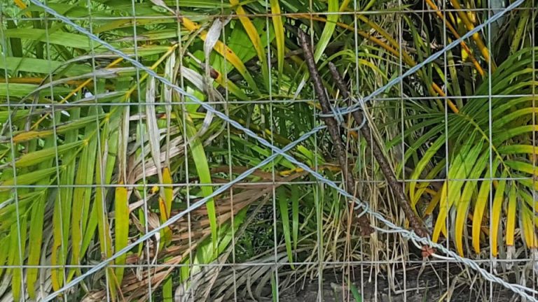 23 DIY Wire Fence Ideas: Learn How to Build a Wire Fence