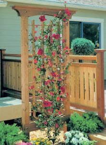 15 DIY Rose Trellis Ideas: Build a Climbing Rose Support
