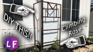 15 DIY Rose Trellis Ideas: Build a Climbing Rose Support