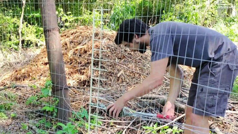 23 DIY Wire Fence Ideas: Learn How to Build a Wire Fence