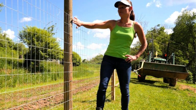 23 DIY Wire Fence Ideas: Learn How to Build a Wire Fence