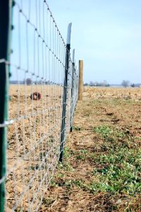 23 DIY Wire Fence Ideas: Learn How to Build a Wire Fence