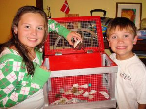 17 DIY Hermit Crab Tank Ideas: Learn How To Make