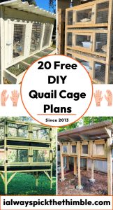 20 Homemade DIY Quail Cage Plans and Ideas